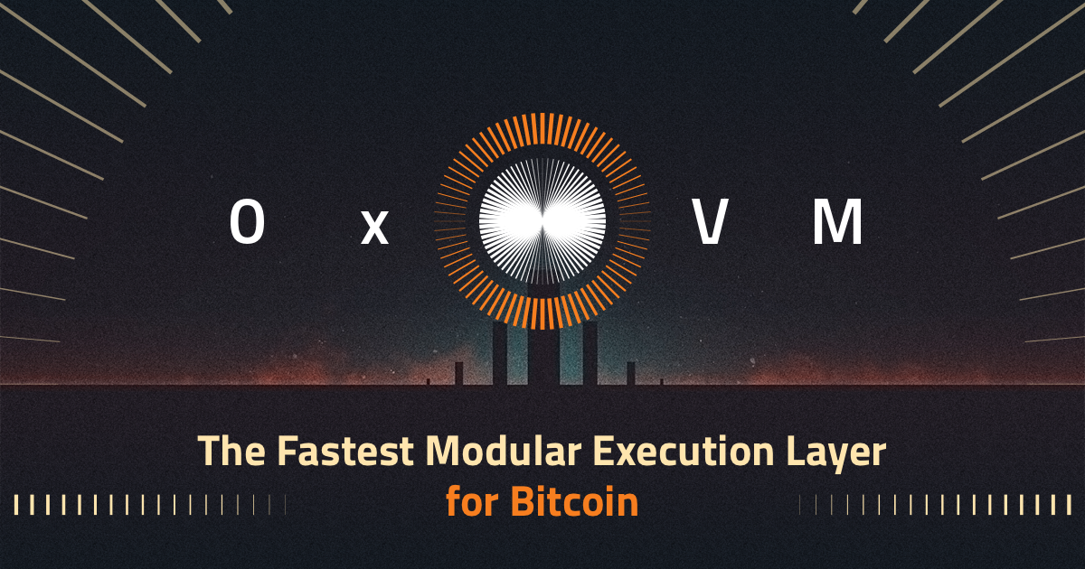 0xVM Validator Nodes